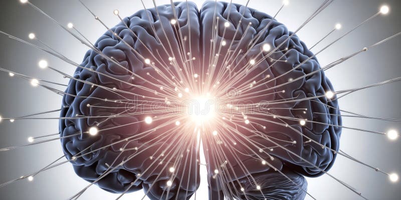 Human Brain with Neuro System. Mind and Science Concept Stock Image ...