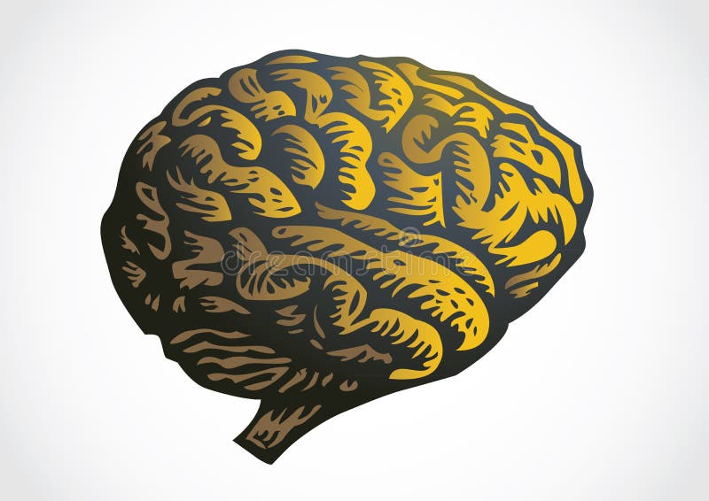 Human brain object stock illustration. Illustration of cerebral - 28600118