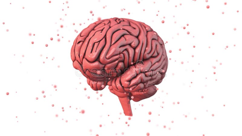 Human Brain and Its Capabilities Stock Video - Video of think, system ...