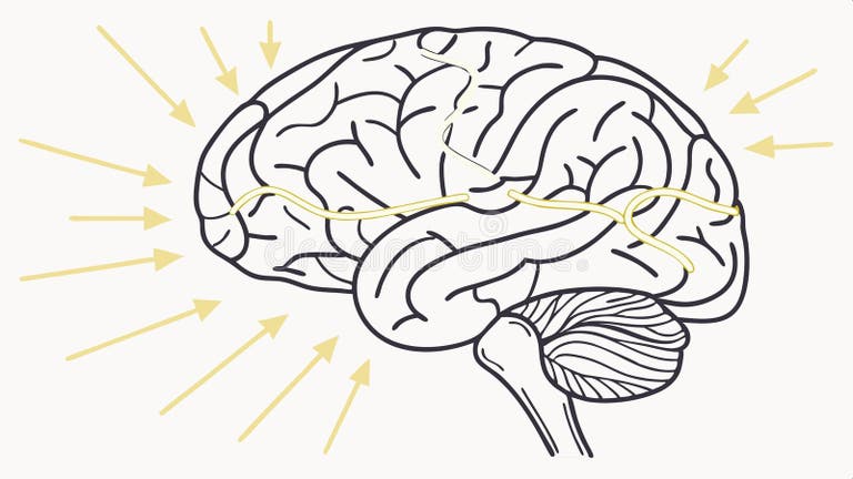 Human Brain Outline, Mind and Intelligence Concept Design Vector Design ...