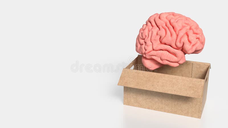 The Human Brain in Paper Box for Creative or Sci Concept 3d Rendering ...