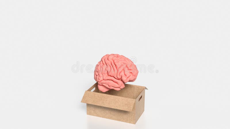 The Human Brain in Paper Box for Creative or Sci Concept 3d Rendering ...