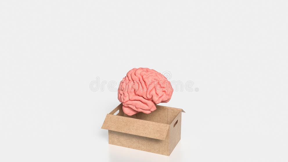The Human Brain in Paper Box for Creative or Sci Concept 3d Rendering ...