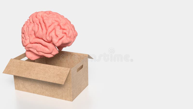 The Human Brain in Paper Box for Creative or Sci Concept 3d Rendering ...
