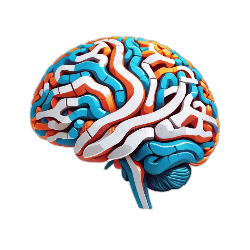 Human brain picture stock illustration. Illustration of bulb - 350697424