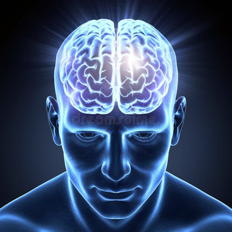 Human brain picture stock illustration. Illustration of design - 351174314