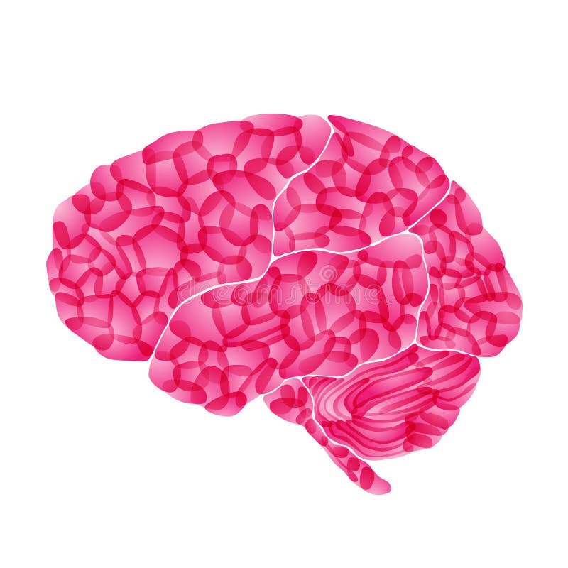 Human Brain, Pink Dream, Vector Abstract Backgroun Stock Vector ... Human Brain, Pink Dream, Vector Abstract Backgroun Stock Vector ...