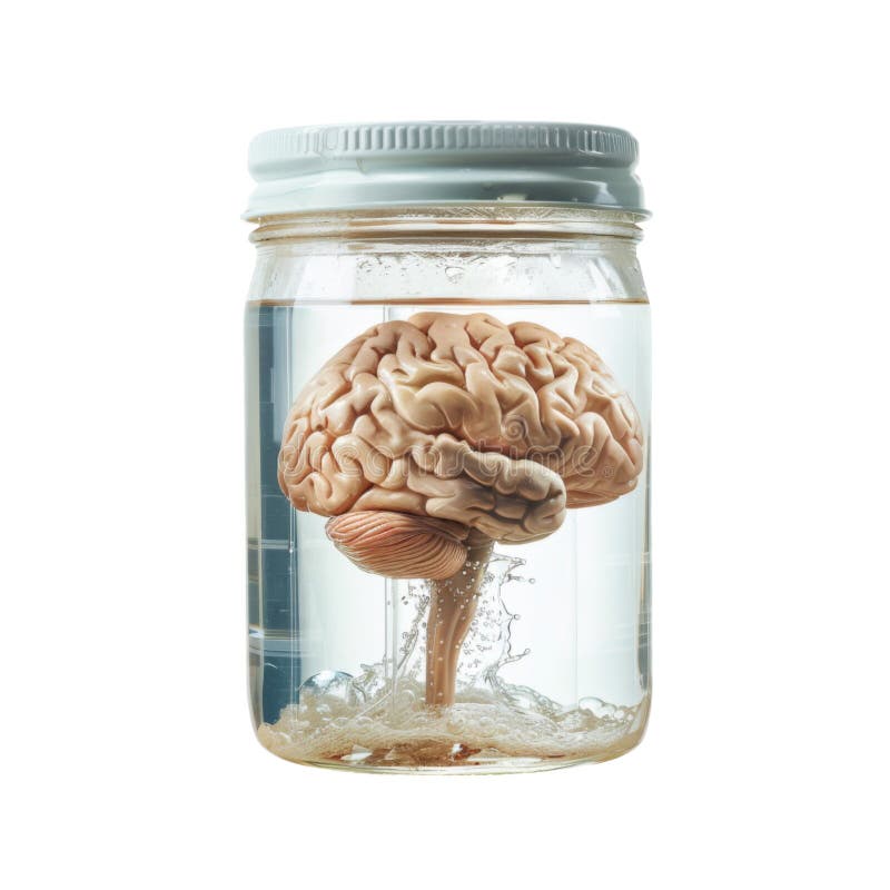 A Human Brain Preserved in a Glass Jar Filled with Water Stock ...