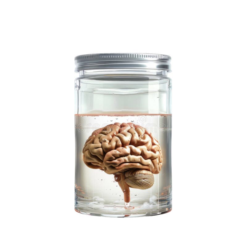 Human Brain Preserved in a Glass Jar with Liquid Stock Image ...
