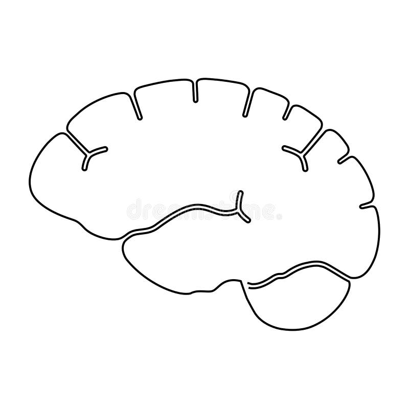 Human Brain in Profile View Left. Continuous Line Drawing Stock Vector ...