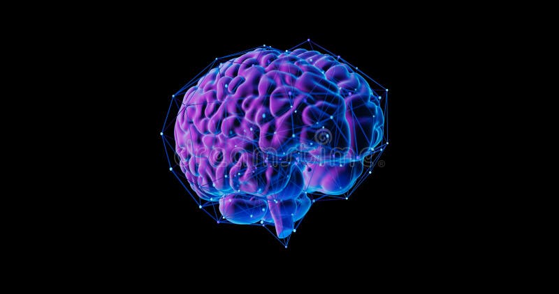 Human Brain X-Ray: Anatomy, Medicine and Science Concept Stock ...