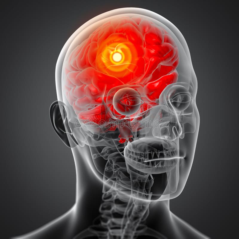 3D Rendering Illustration of Brain Stock Illustration - Illustration of ...