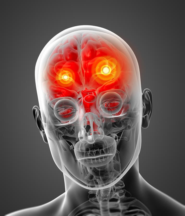 3D Rendering Illustration of Brain Stock Illustration - Illustration of ...