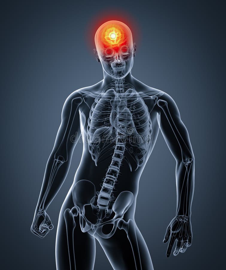 3D Rendering Illustration of Brain Stock Illustration - Illustration of ...