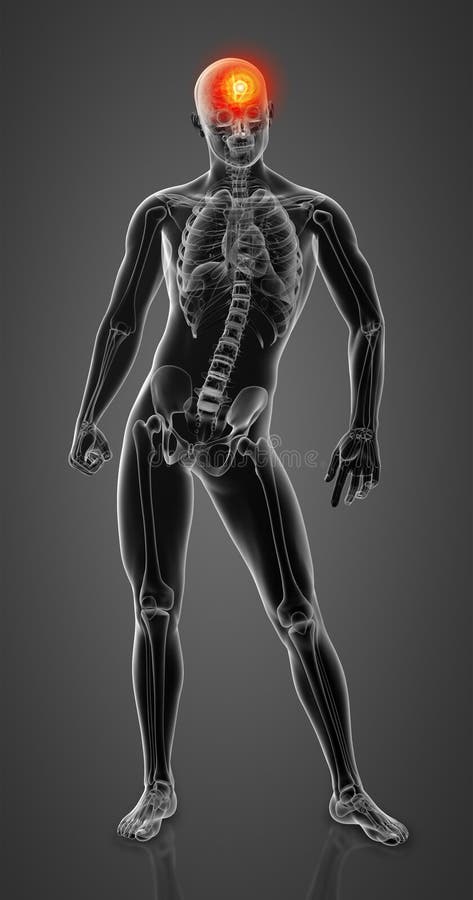 3D Rendering Illustration of Brain Stock Illustration - Illustration of ...