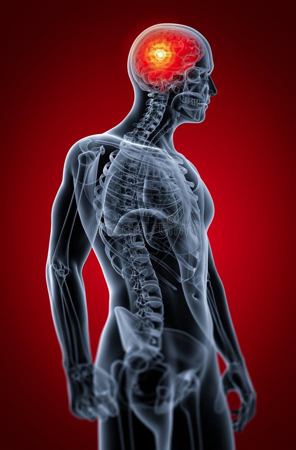 3D Rendering Illustration of Brain Stock Illustration - Illustration of ...