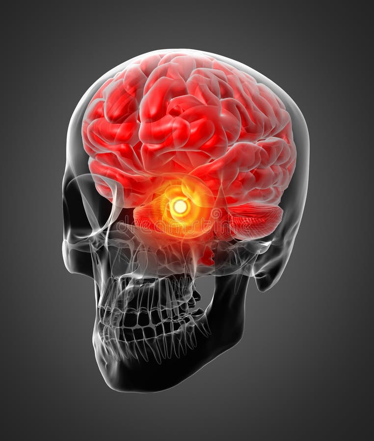 3D Rendering Illustration of Brain Stock Illustration - Illustration of ...