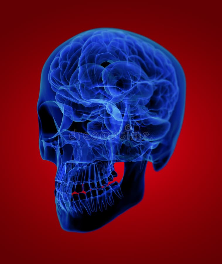 3D Rendering Illustration of Skull Bone Stock Illustration ...
