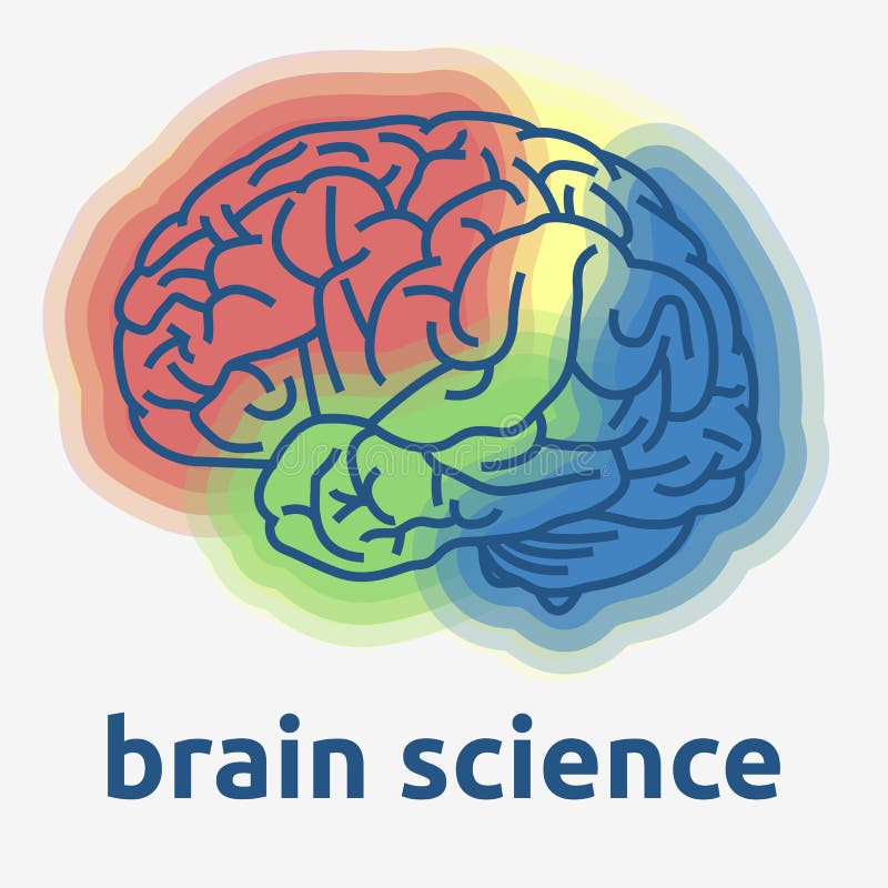 Human Brain Science Themed Design Vector Graphic Stock Vector ...
