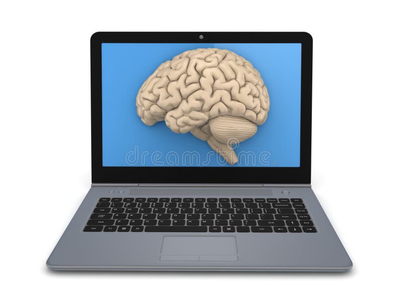 Human Brain on a Screen of Laptop Stock Illustration - Illustration of ...