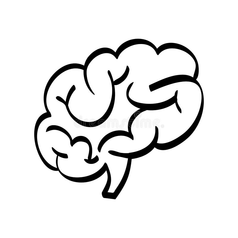 Human brain scribble stock image. Image of concept, imagination - 82549927