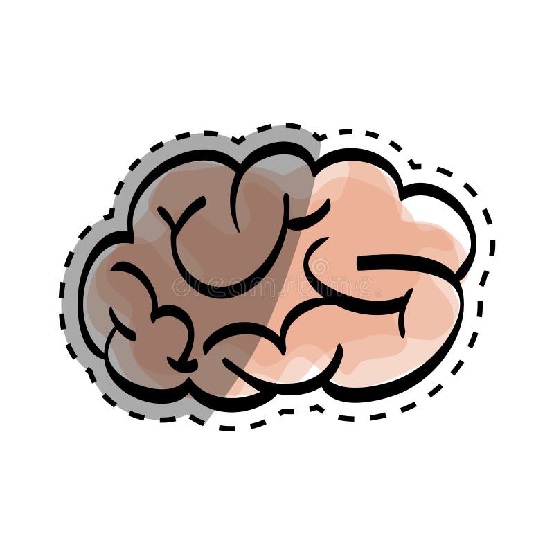 Human brain scribble stock image. Image of mentality - 82550115