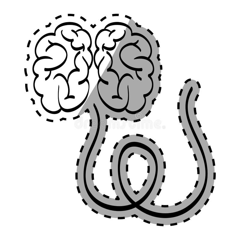 Human brain scribble stock image. Image of scribble, black - 82550387