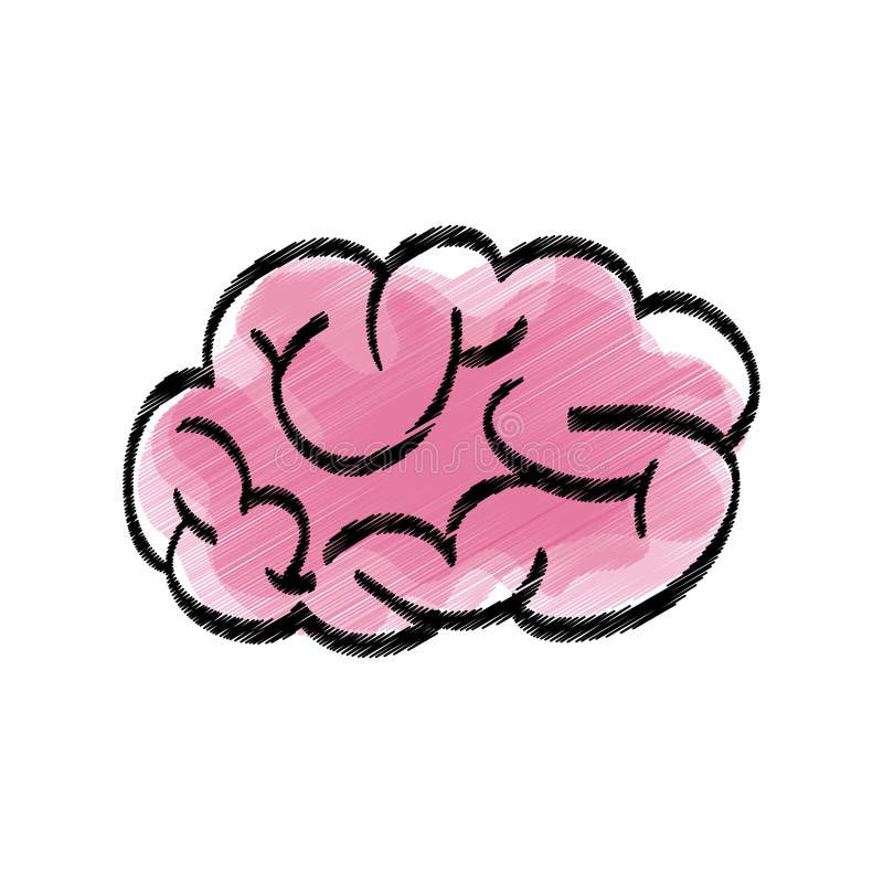 Human brain scribble stock image. Image of cerebral, human - 82550567