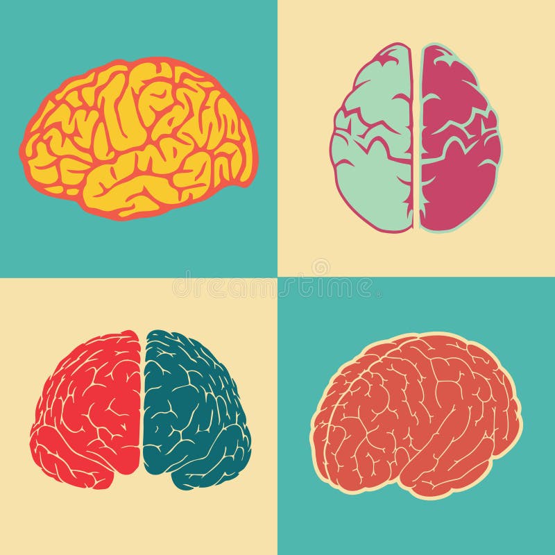 Human Brain Set. Vector Illustration Decorative Design Stock Vector ...