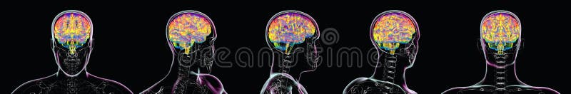 Human Brain Shown from Multiple Angles, 3D Illustration Stock ...