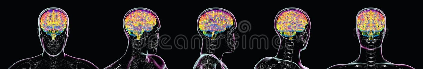 Brain Angles Stock Illustrations – 181 Brain Angles Stock Illustrations ...