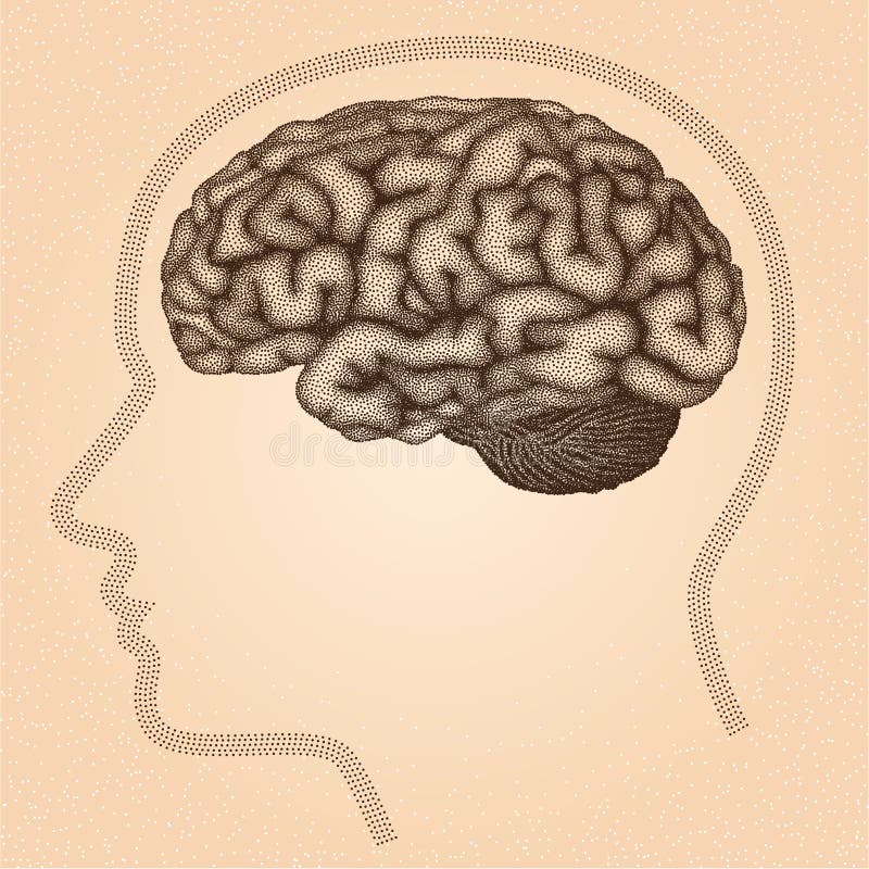 Human Brain. Side View - Vector Stippled Illustration Stock Vector ...