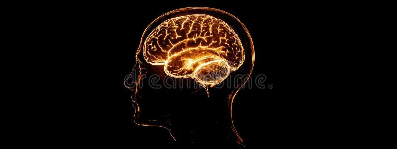 Human Brain Silhouette Artificial Intelligence. Selective Focus Stock ...