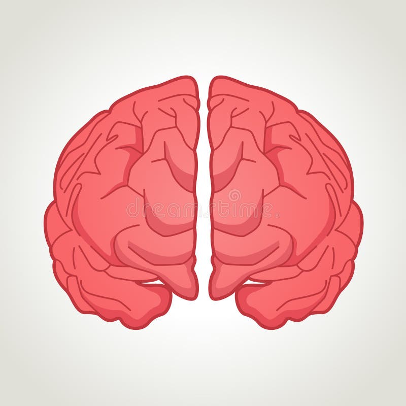 Human Brain stock vector. Illustration of sign, senses - 44303100