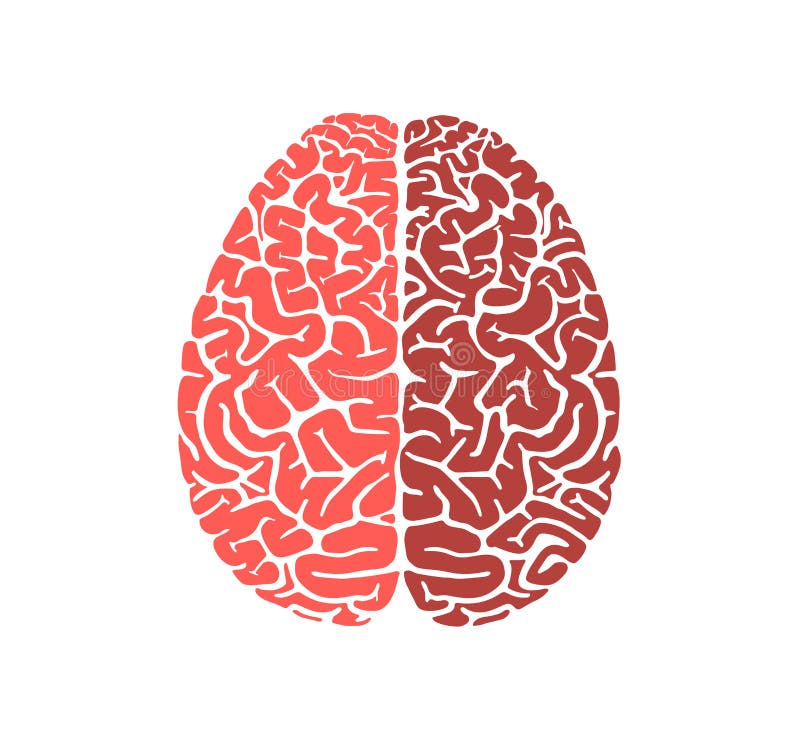 Human Brain Shape Education Icon Flat Design Stock Vector ...