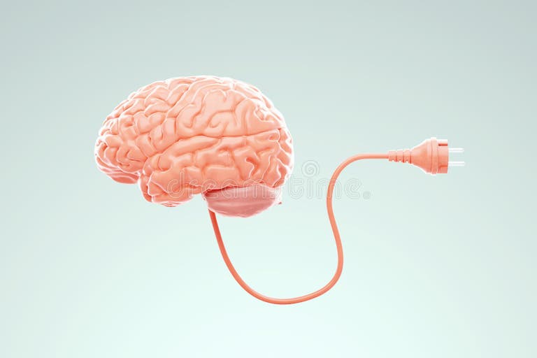 Human Brain with Socket Plug on a Light Background. the Concept is To ...