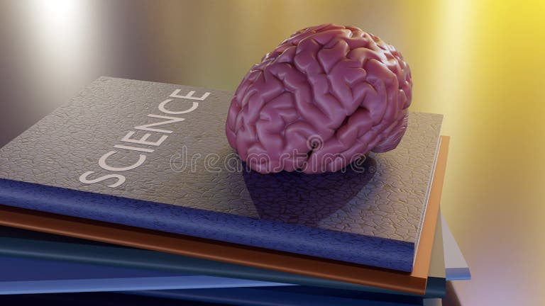 Human Brain and Stack of Science Books Stock Illustration ...