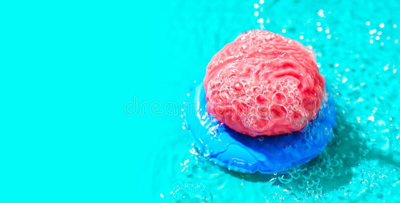 Human Brain Swimming in the Pool Stock Photo - Image of concept ...