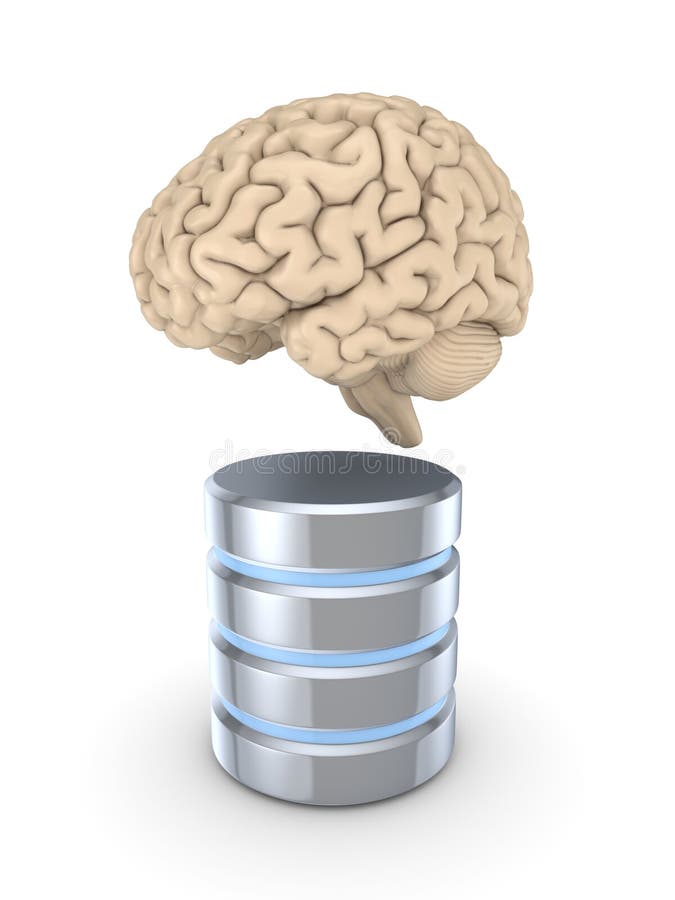 Human Brain and Symbol of Database Stock Illustration - Illustration of ...