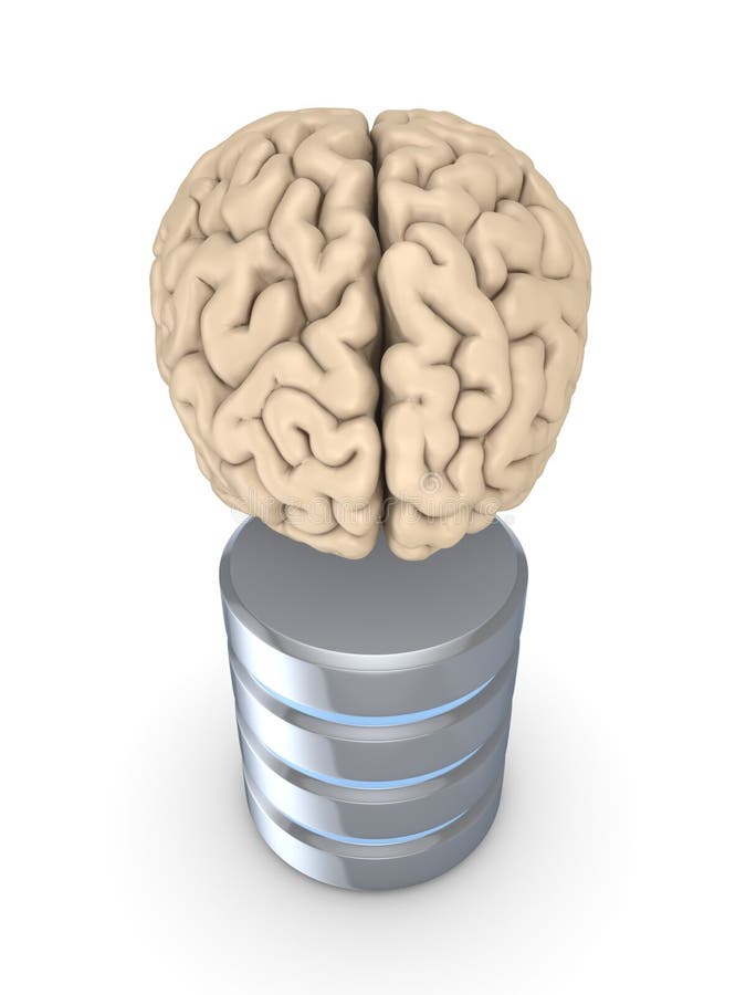 Human Brain and Symbol of Database Stock Illustration - Illustration of ...