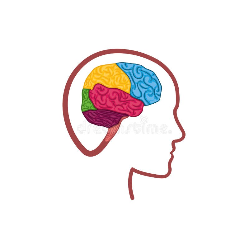 Human brain symbol stock illustration. Illustration of imagination ...