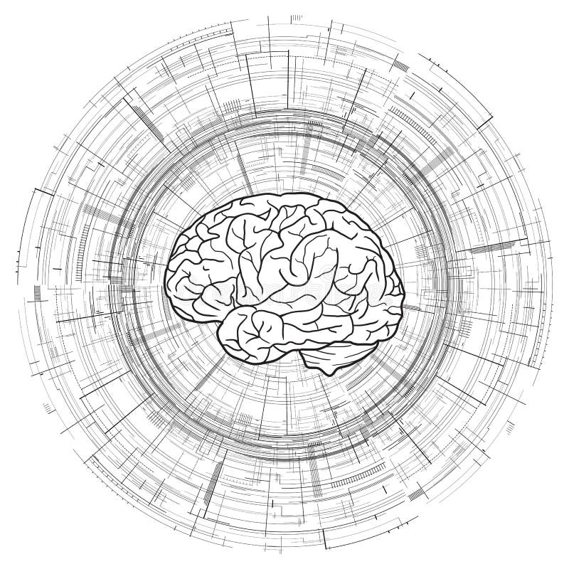 Human brain blueprint stock illustration. Illustration of education ...