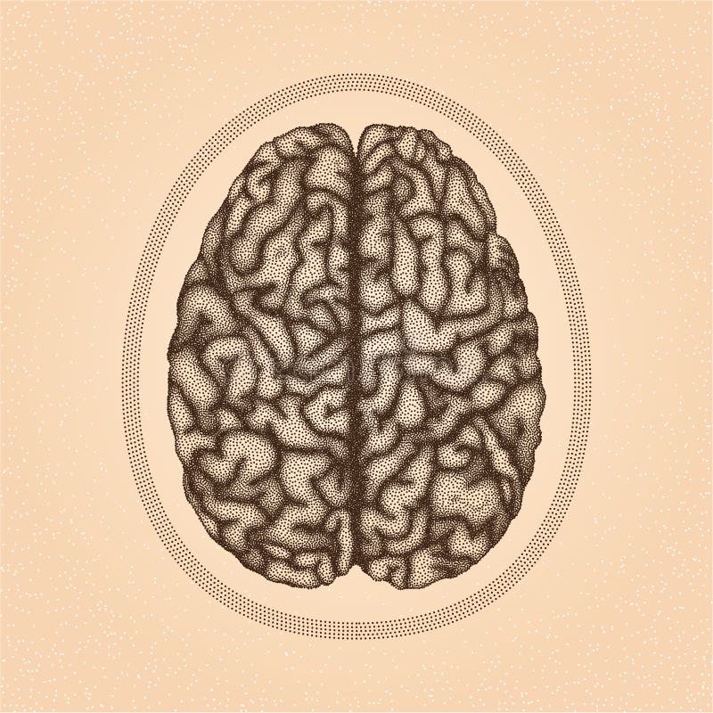 Human Brain. Side View - Vector Stippled Illustration Stock Vector ... Human Brain. Side View - Vector Stippled Illustration Stock Vector ...