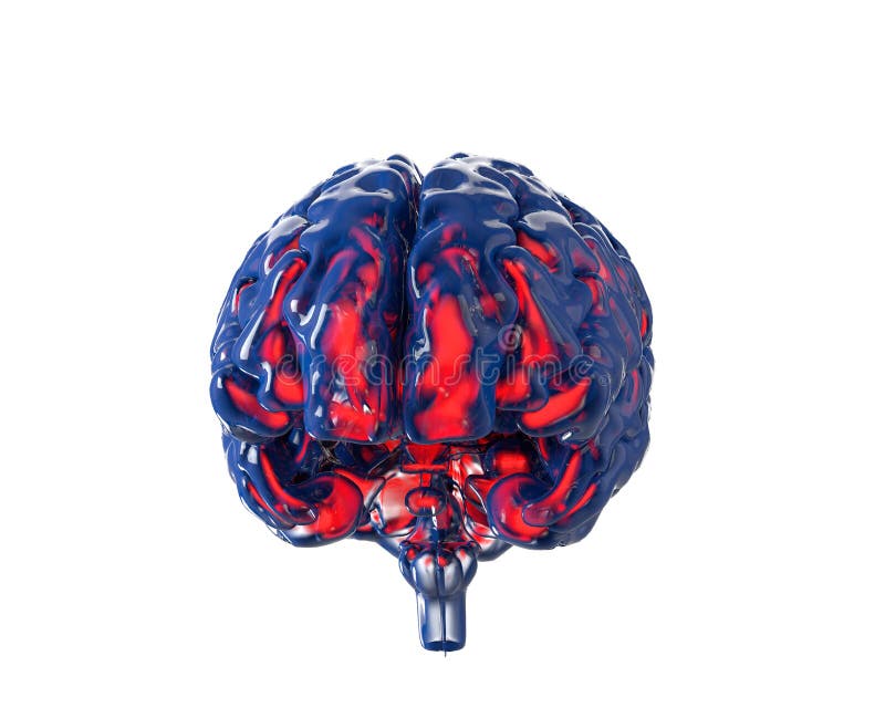 Human Brain with Transparency Chanel, Stock Illustration - Illustration ...