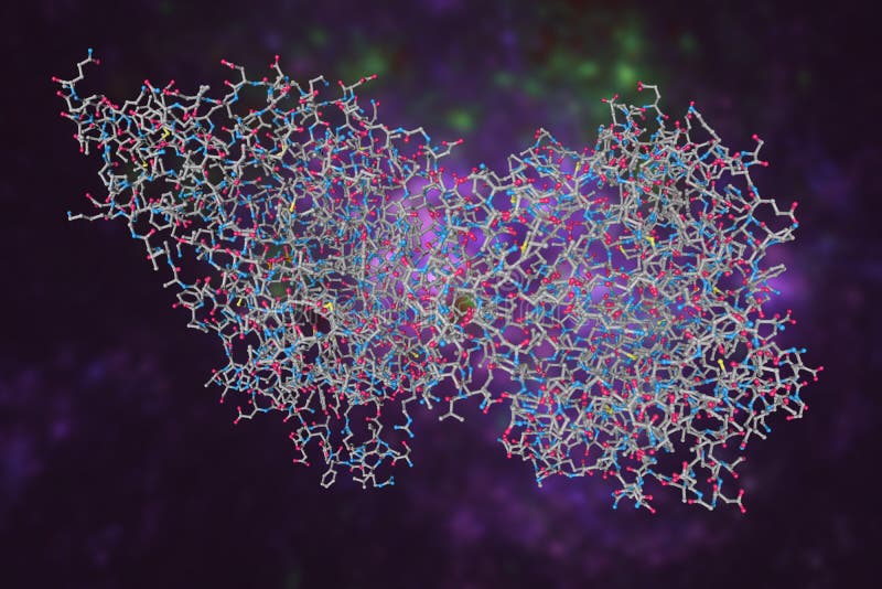 Human Brain-type Creatine Kinase. Atoms are Represented As Spheres with ...