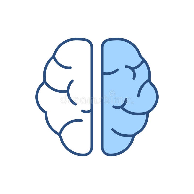 Brain. stock vector. Illustration of brain, biology, isolated - 97182070