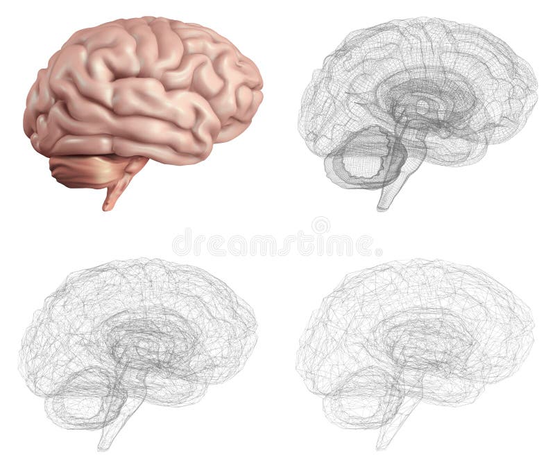 Human Brain. Vector Set in Different Styles Stock Vector - Illustration ...