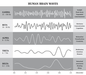 Alpha Beta Delta Gamma Theta Brain Waves Stock Illustrations – 30 Alpha ...