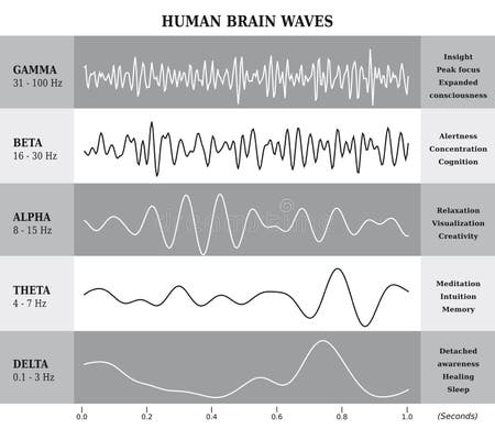 Alpha Beta Delta Gamma Theta Brain Waves Stock Illustrations – 30 Alpha ...