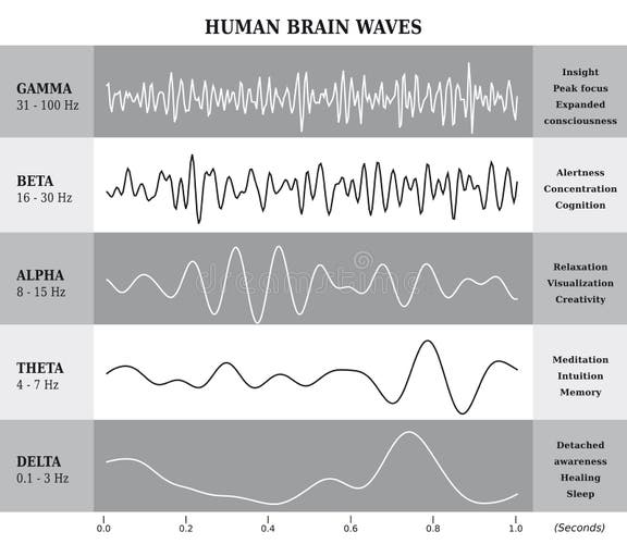 Alpha Beta Delta Gamma Theta Brain Waves Stock Illustrations – 30 Alpha ...